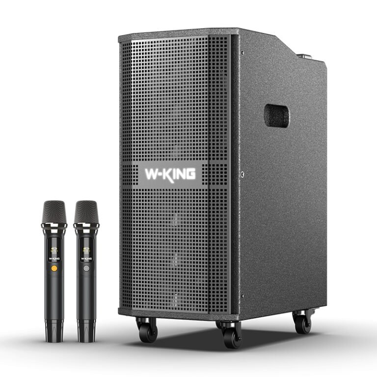 W-King Cambodia | Official Authorized The best place to get all models of audio speakers and ...